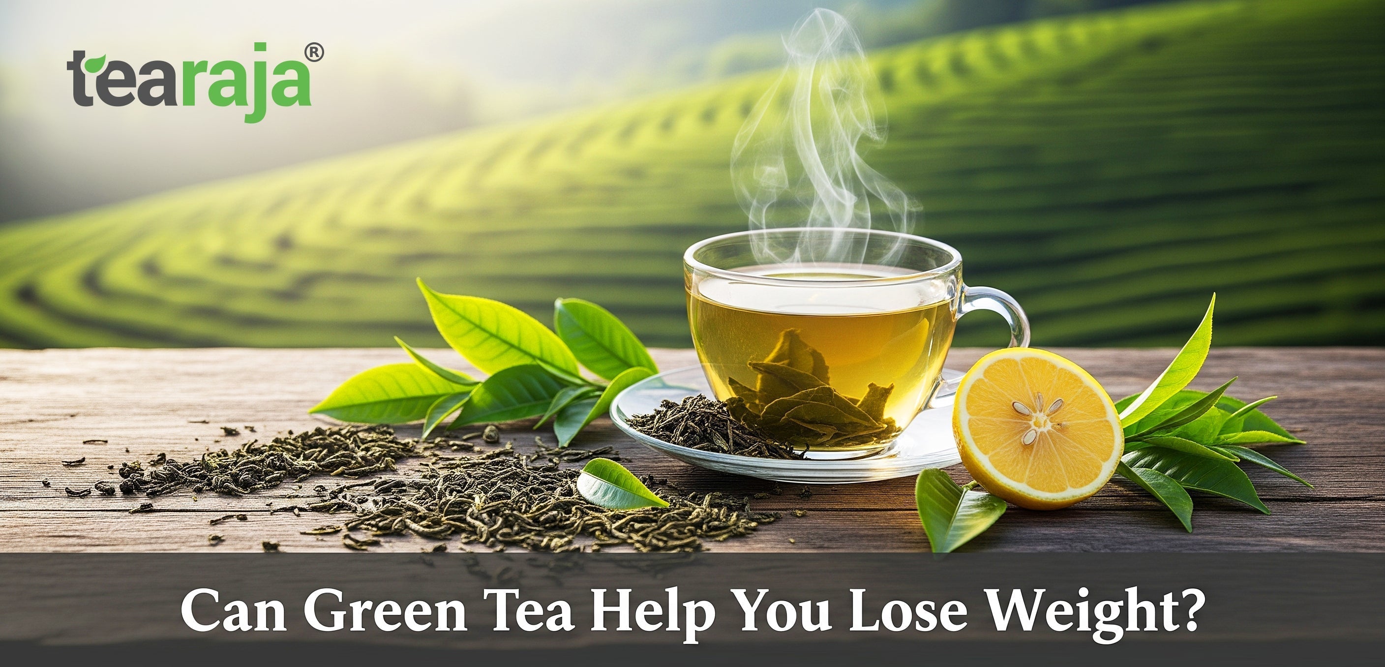 Can Green Tea Help You Lose Weight? Best Green Teas & Proven Benefits ...